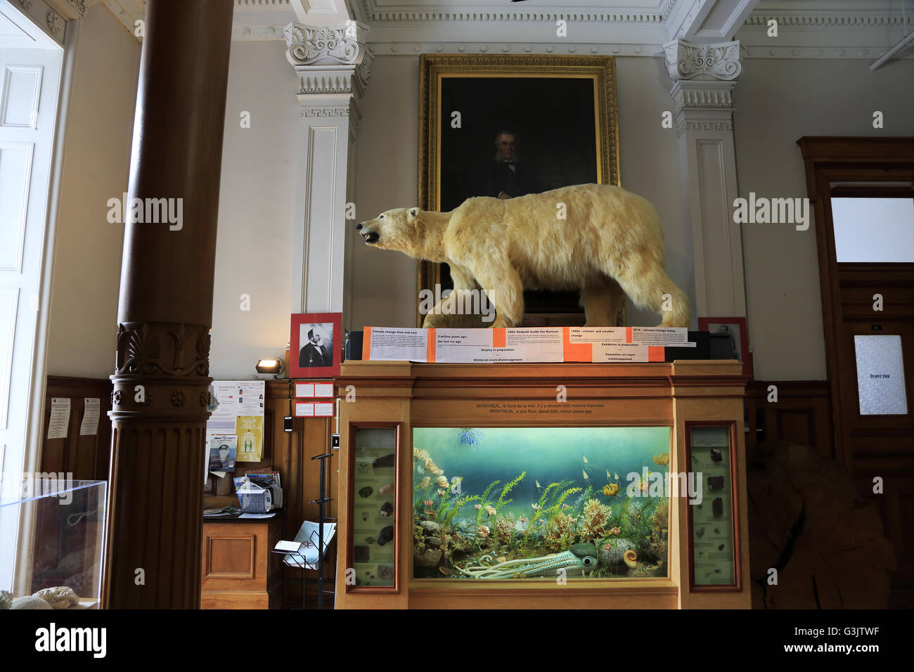 Interior view of Redpath Museum at McGill University,Montreal Quebec ...
