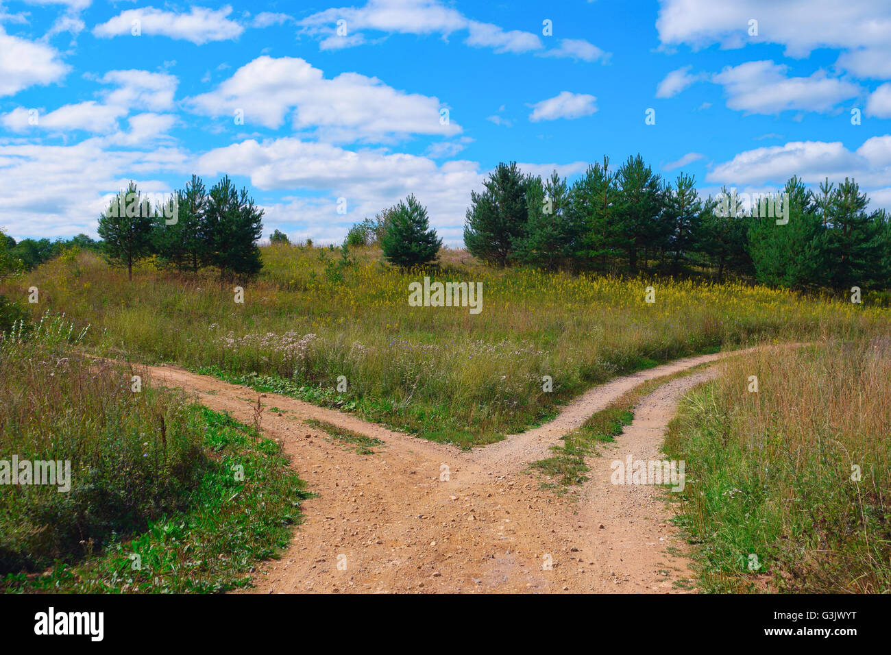 Rural landscape with crossroad on hill in forest Stock Photo - Alamy