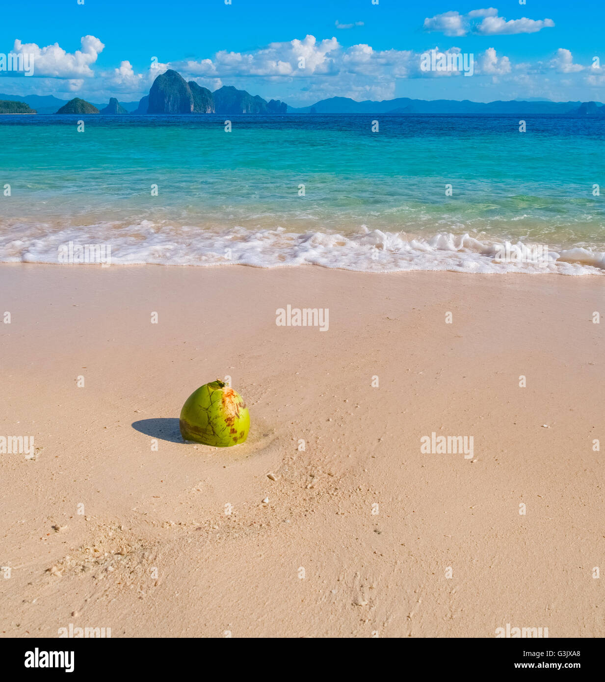 Beautiful tropical sand beach and coconut, Palawan, Philippines Stock ...