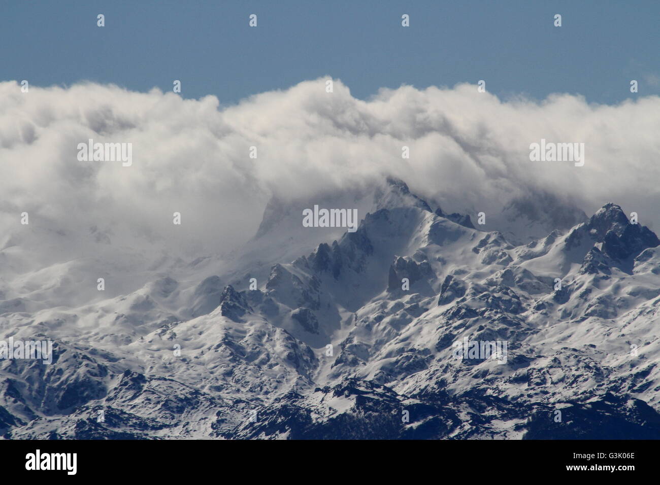 Picos de europa spring flowers hi-res stock photography and images - Alamy
