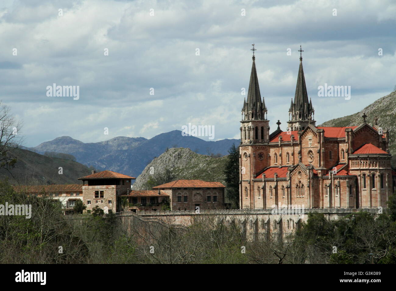 Picos de europa spring flowers hi-res stock photography and images - Alamy