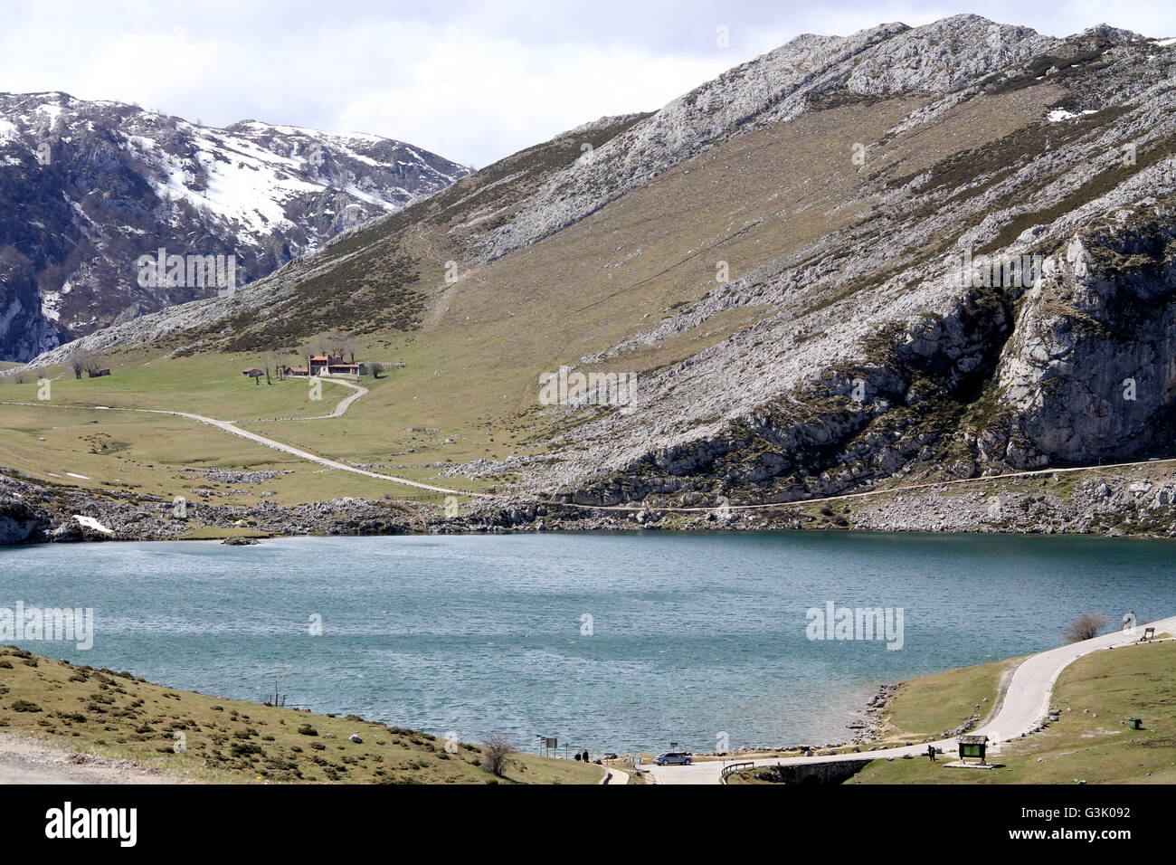 Picos de europa spring flowers hi-res stock photography and images - Alamy