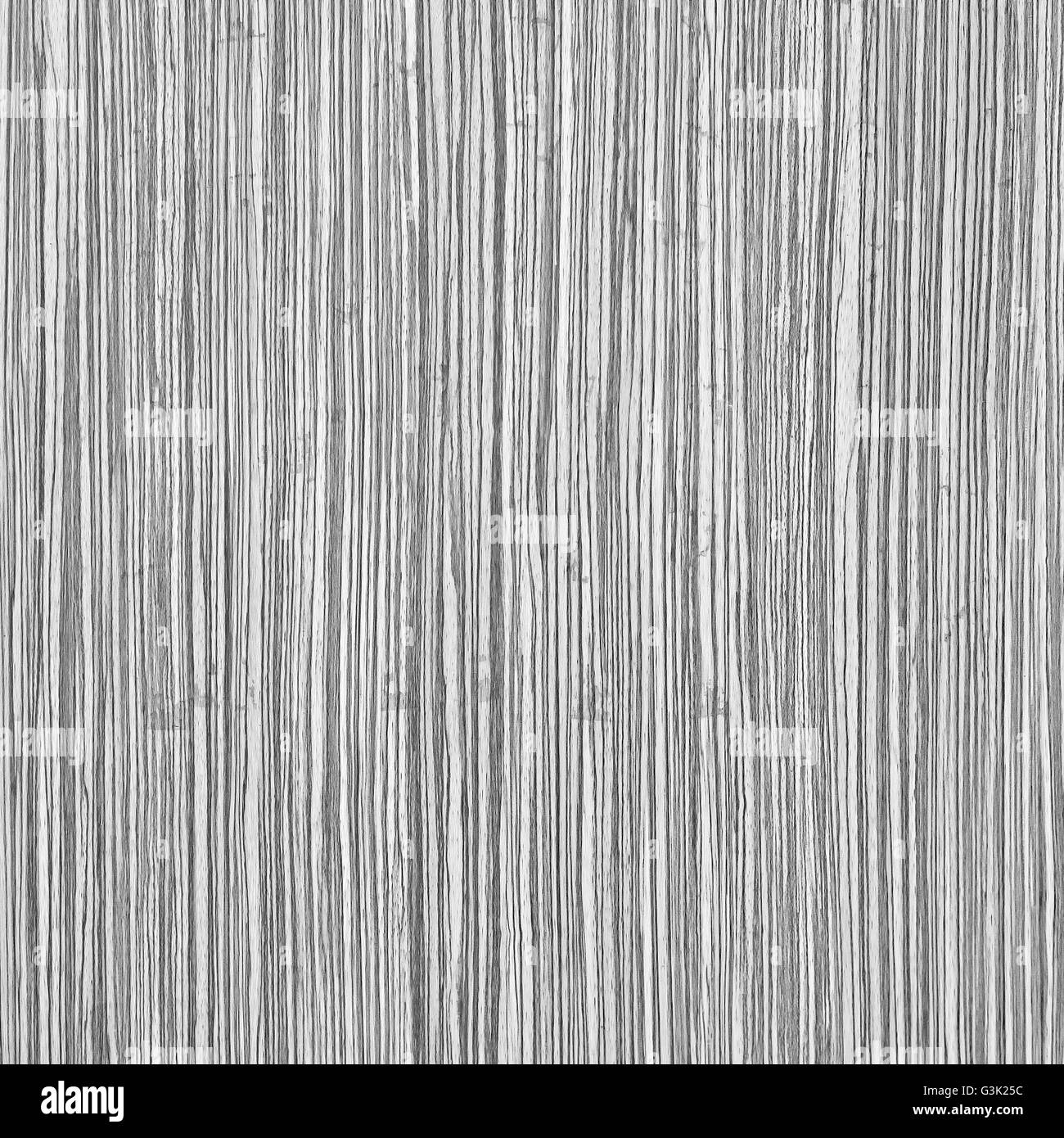 Trunk surface texture Black and White Stock Photos & Images - Alamy