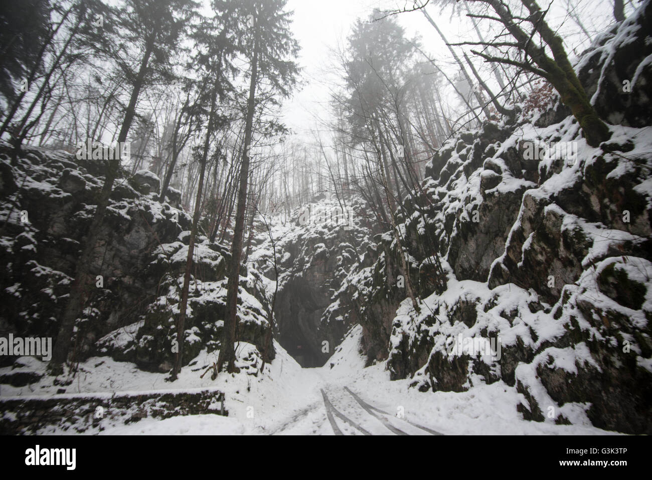 Harsh winter hi-res stock photography and images - Alamy