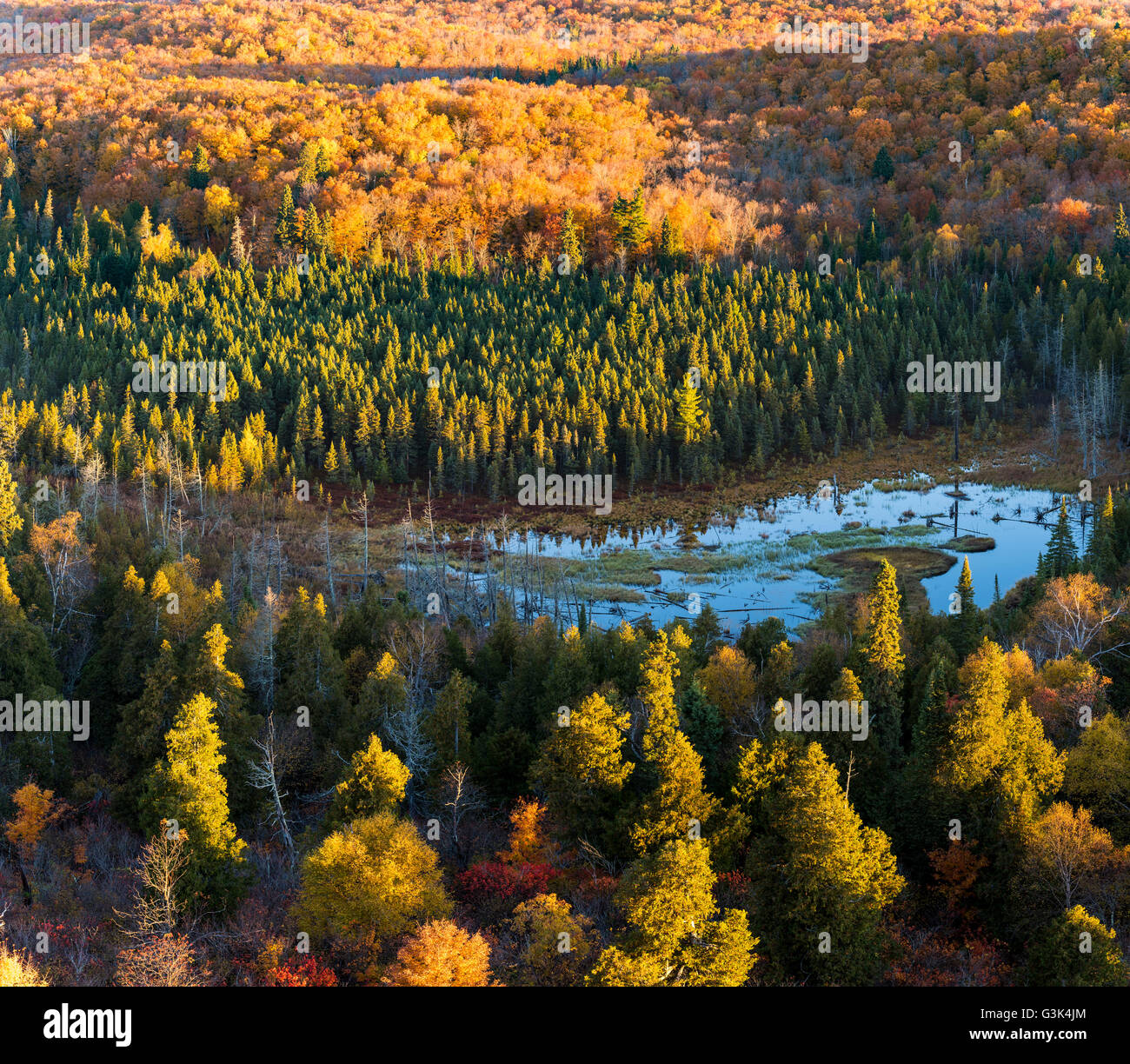 Oberg hi-res stock photography and images - Alamy
