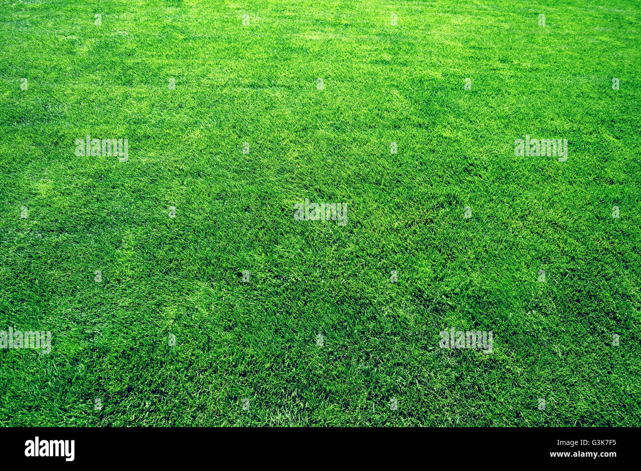 Green lawn for background Stock Photo - Alamy
