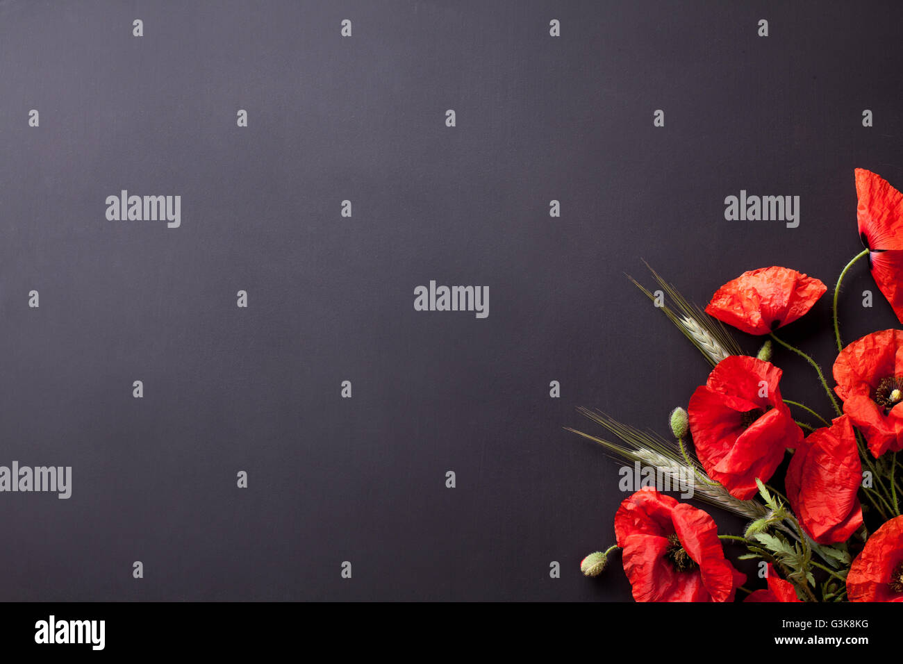 Heads of red poppies and rye in the corner of black background flat lay ...