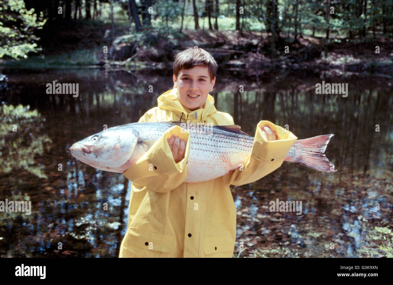 stripe bass, sea fish, big catch, boy's catch Stock Photo - Alamy