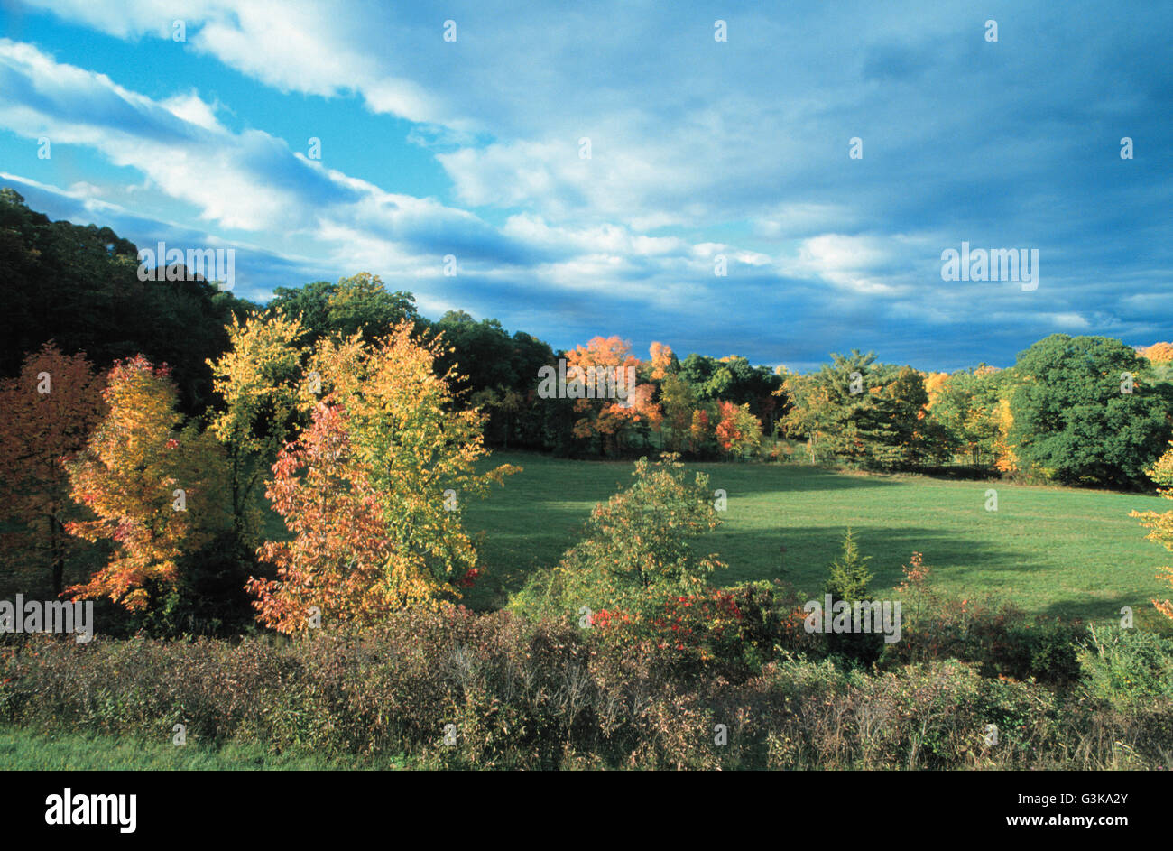 Indian Summer colours with green grass field Stock Photo - Alamy