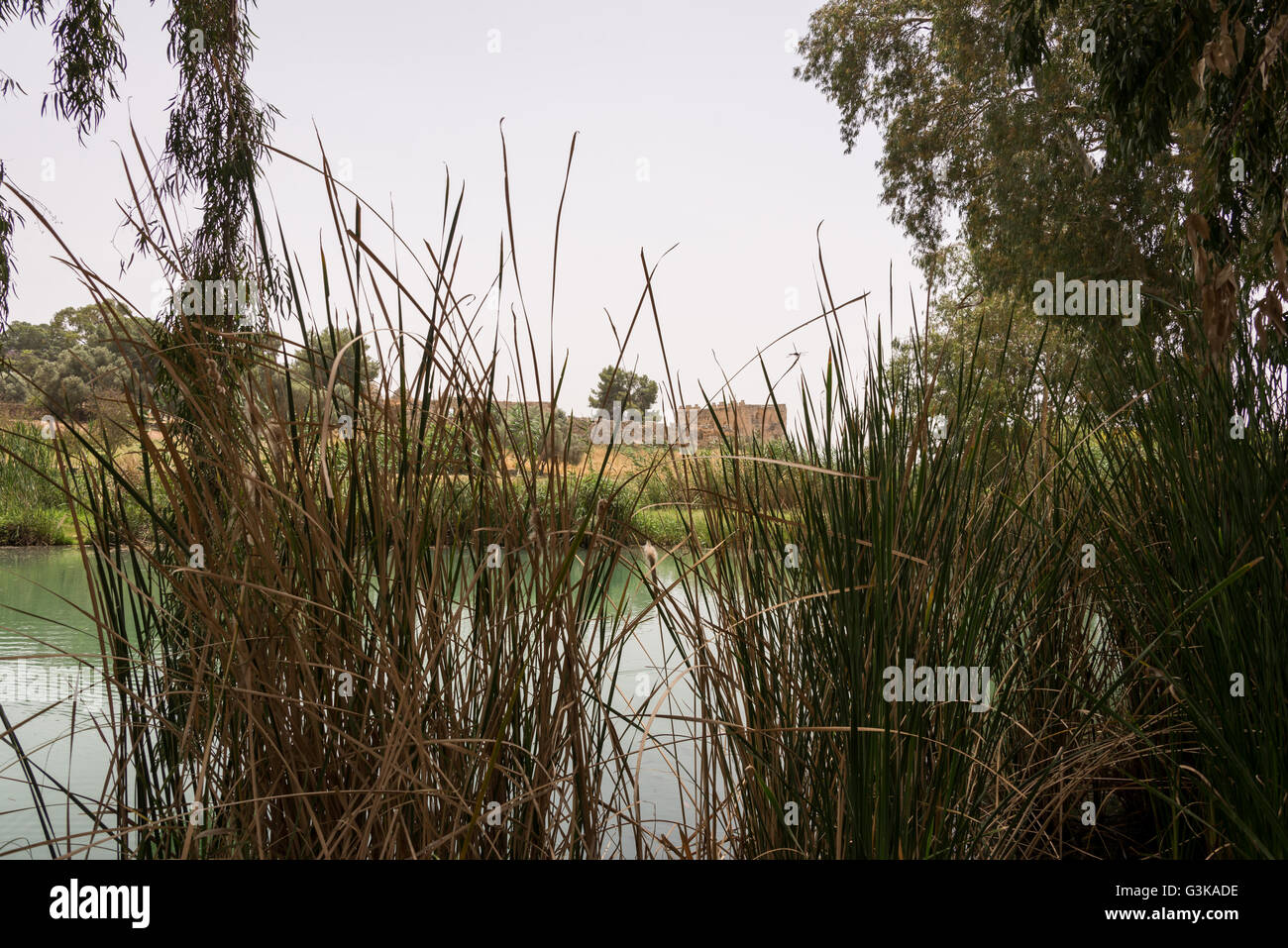 Yarkon park hi-res stock photography and images - Alamy