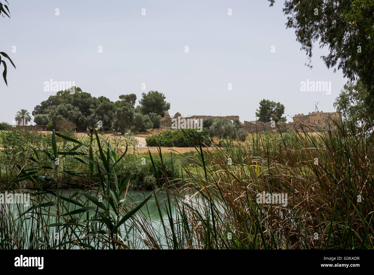 Yarkon park hi-res stock photography and images - Alamy