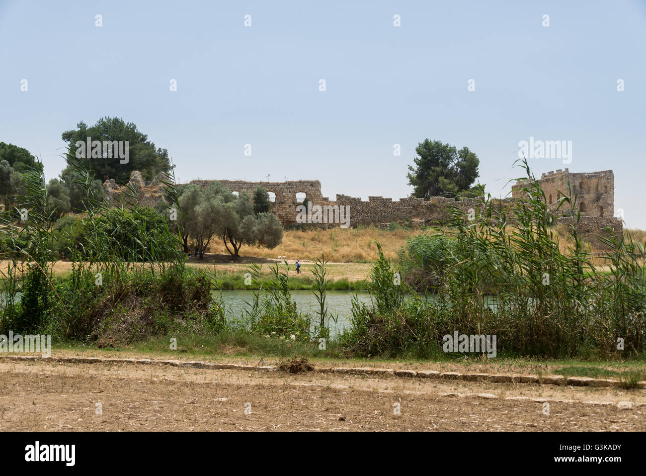 Yarkon park hi-res stock photography and images - Alamy