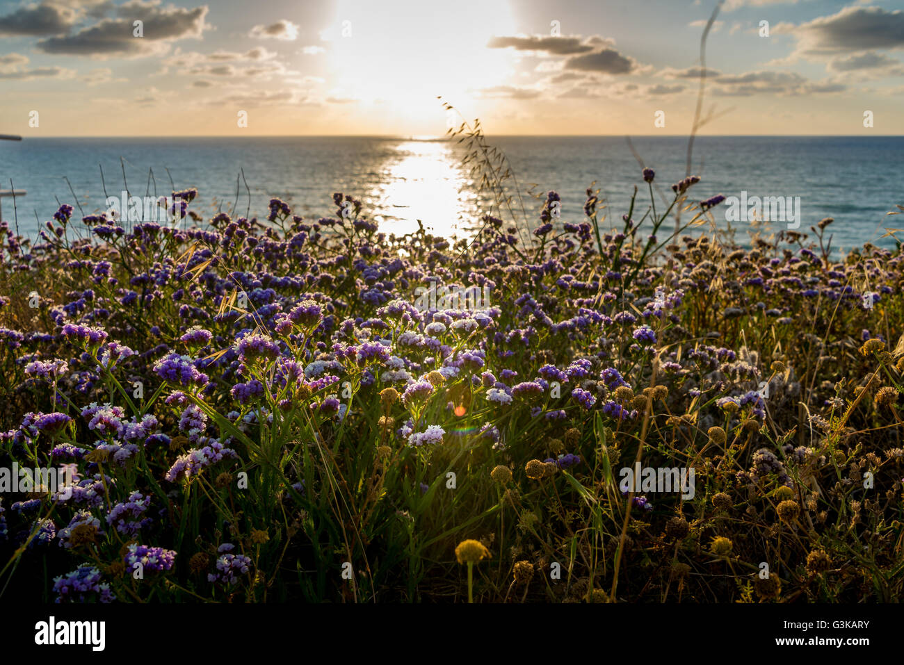 Apollonia National Park, Israel Stock Photo - Alamy