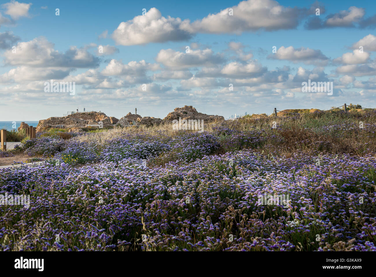 Apollonia National Park, Israel Stock Photo - Alamy
