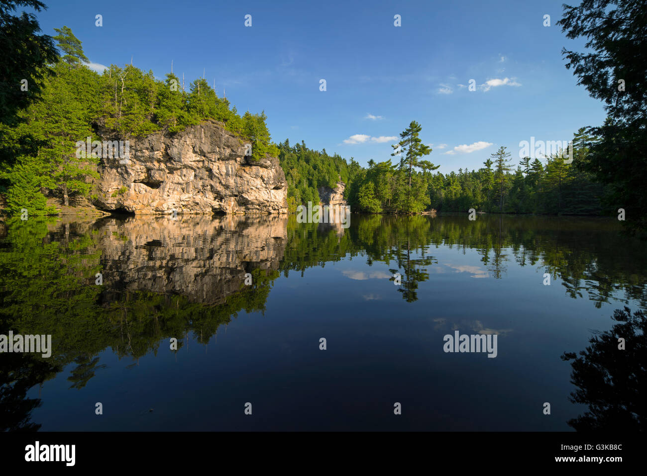 Forest on cliffside hi-res stock photography and images - Alamy