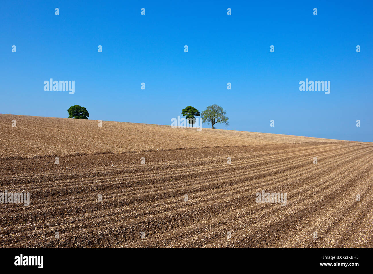 Soil in ridges hi-res stock photography and images - Alamy