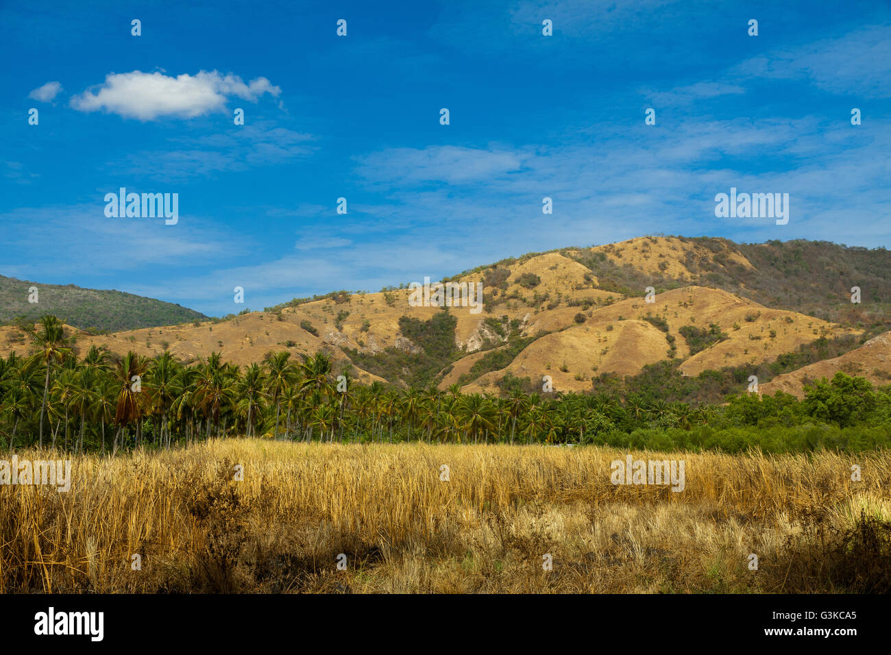 Flores Island Indonesia Stock Photo - Alamy