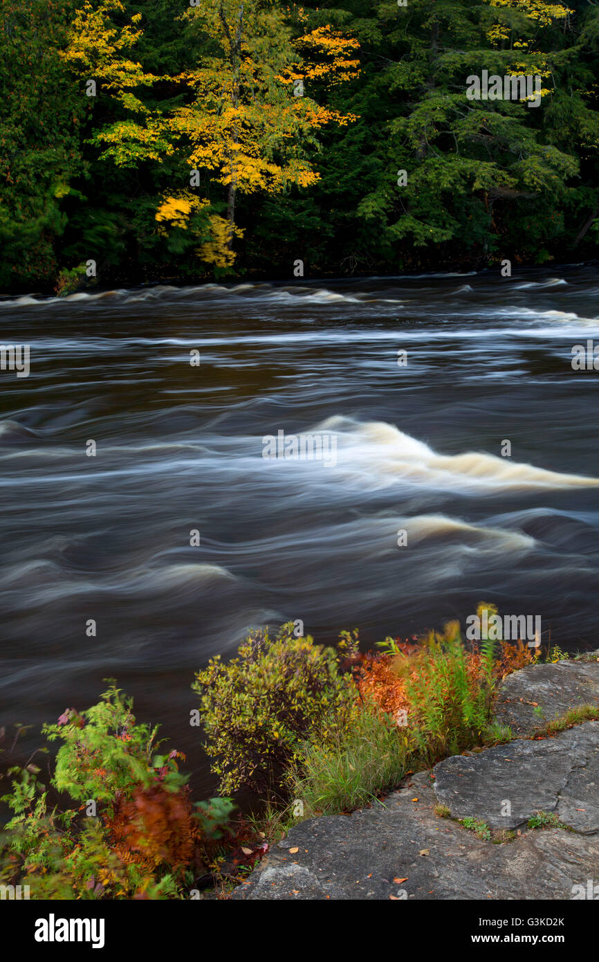 Tahquamenon River, Tahquamenon Falls State Park, Michigan Stock Photo ...