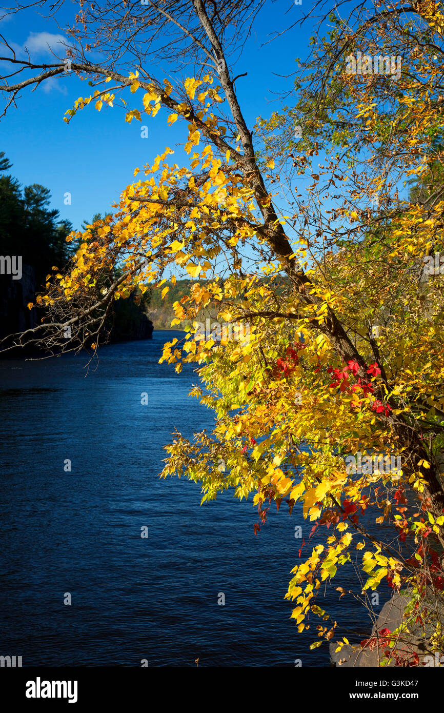 Autumn tree along from Glacial Pothole Trail, St. Croix National Scenic ...
