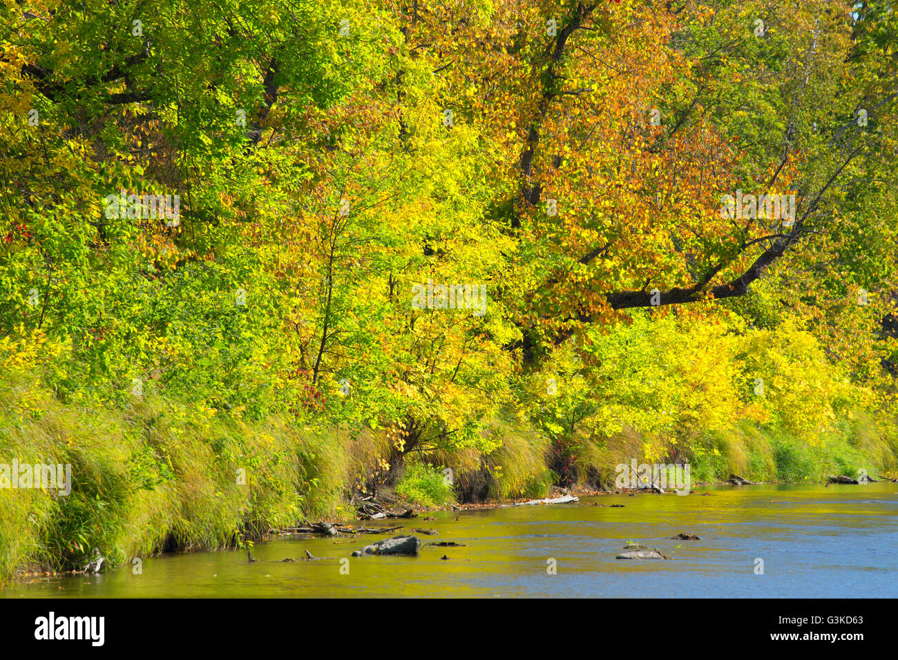 Big Fork River, Koochiching State Forest, Minnesota Stock Photo - Alamy