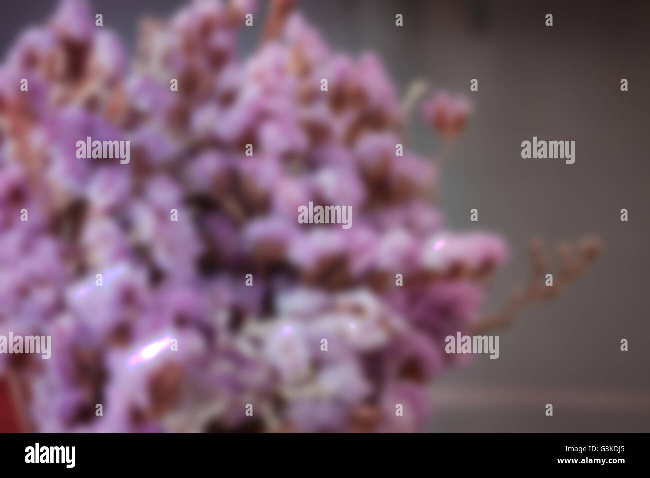 Flower pile hi-res stock photography and images - Alamy