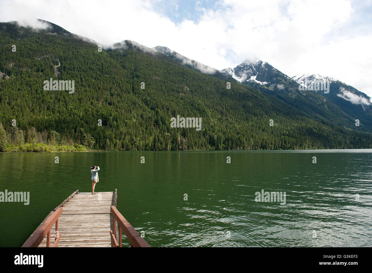 Birkenhead Provincial Park, north of Pemberton, British Columbia ...