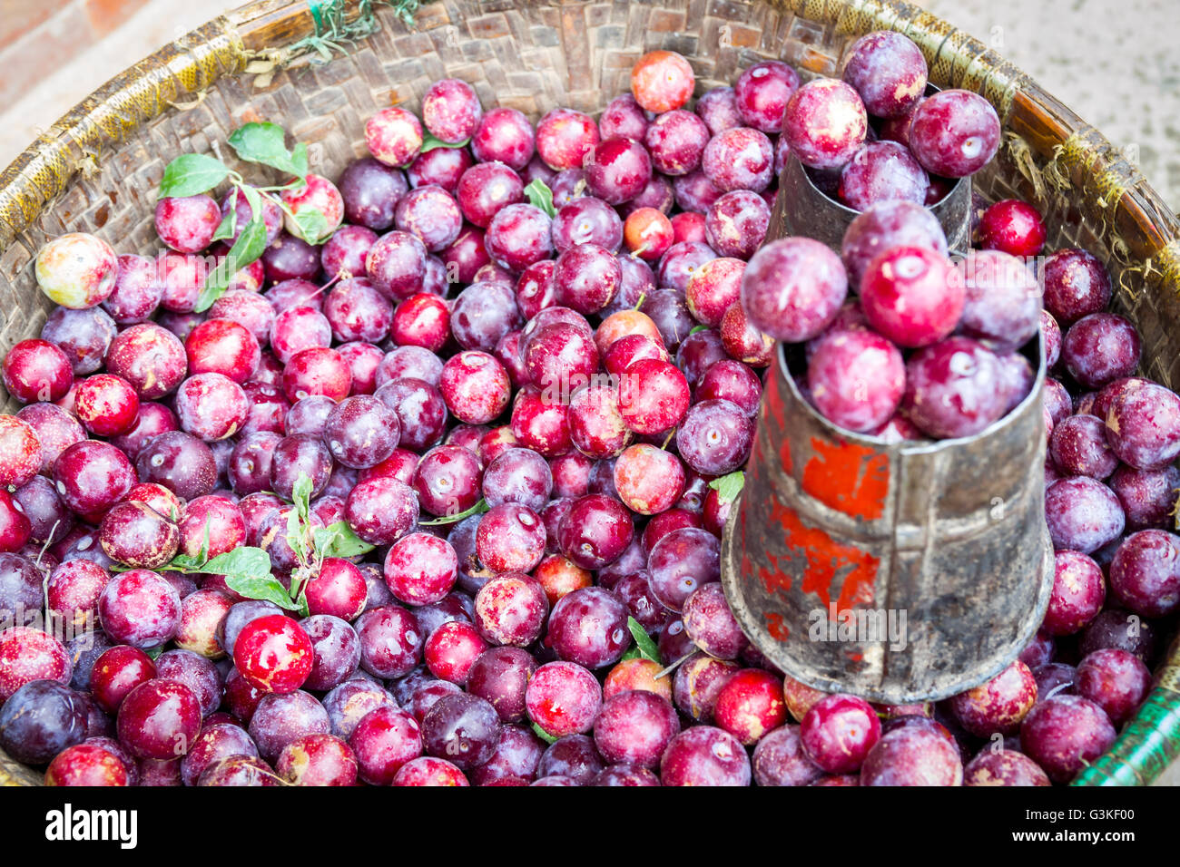 Nepal berry berries fruit hi-res stock photography and images - Alamy