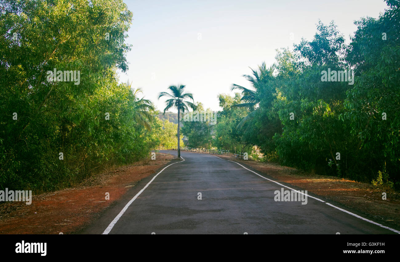 Empty road in Goa India at sunny day Stock Photo - Alamy
