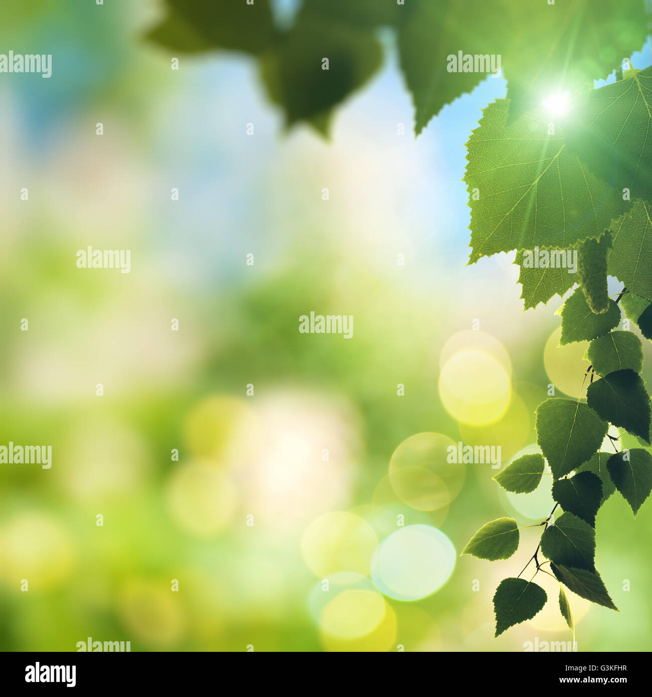 Abstract natural backgrounds with beauty bokeh Stock Photo - Alamy