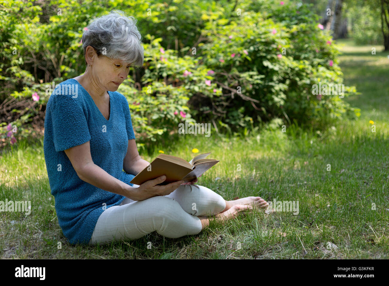 Senior woman reading a book Stock Photo - Alamy