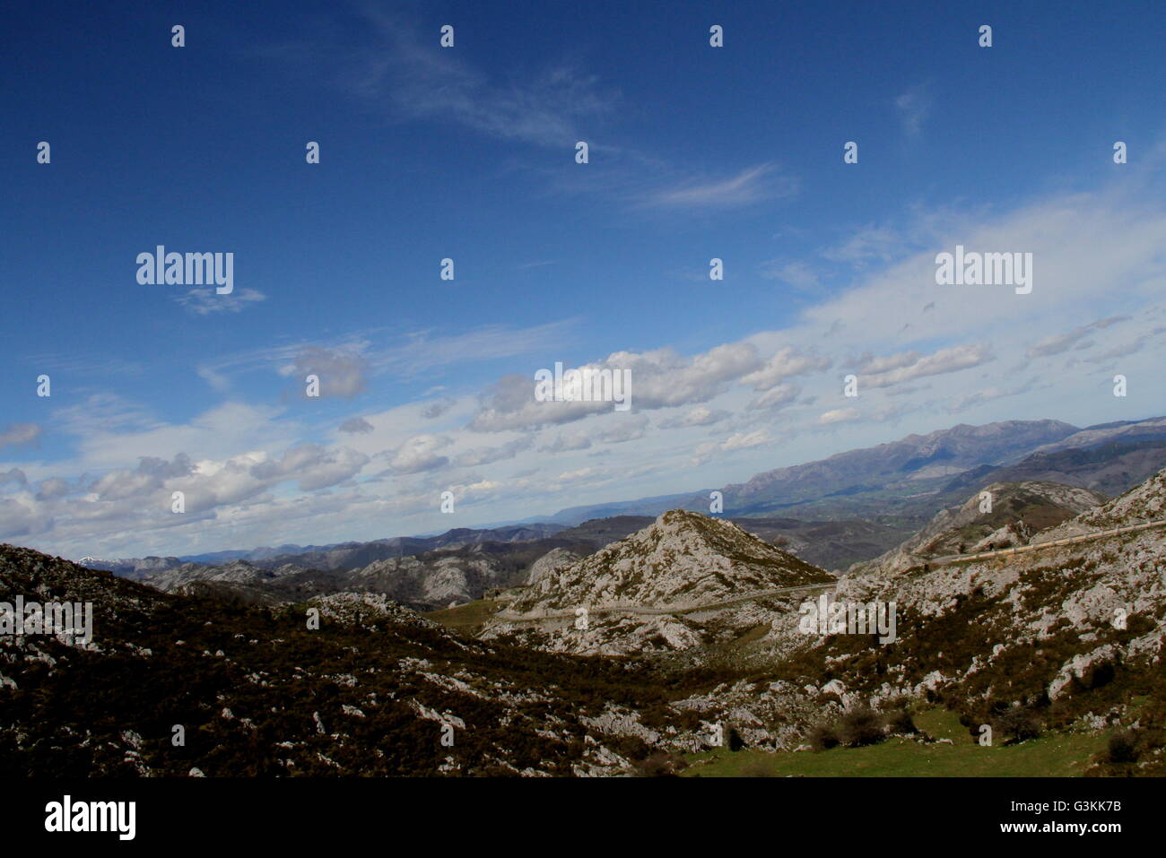 Picos de europa spring flowers hi-res stock photography and images - Alamy