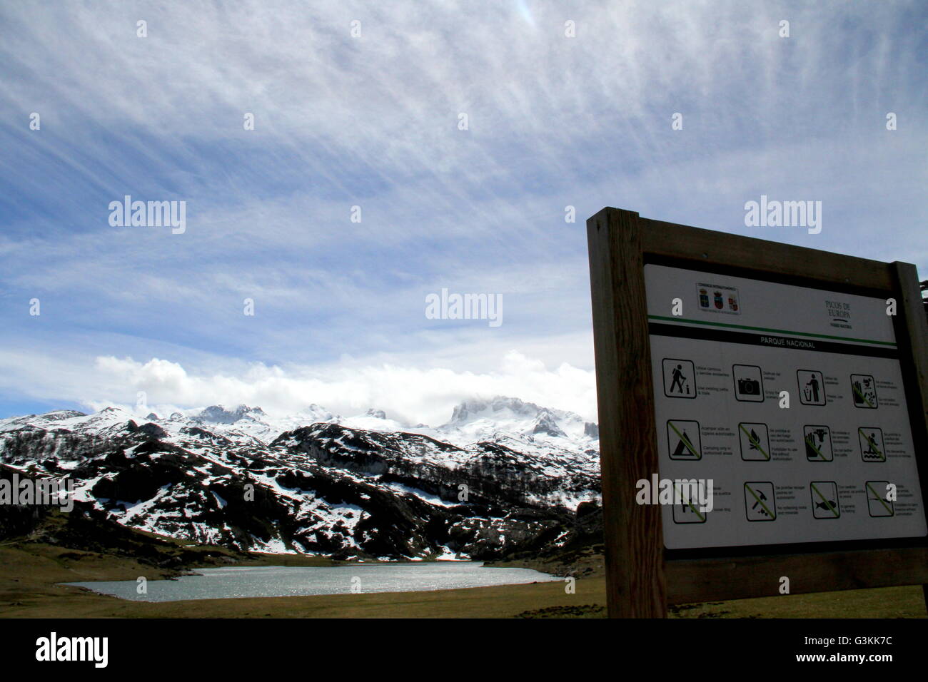 Picos de europa spring flowers hi-res stock photography and images - Alamy
