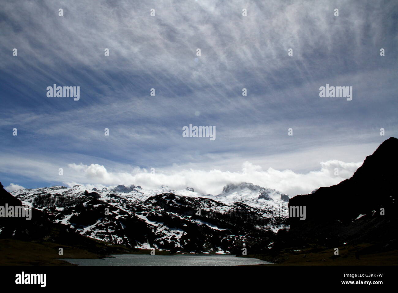 Picos de europa spring flowers hi-res stock photography and images - Alamy