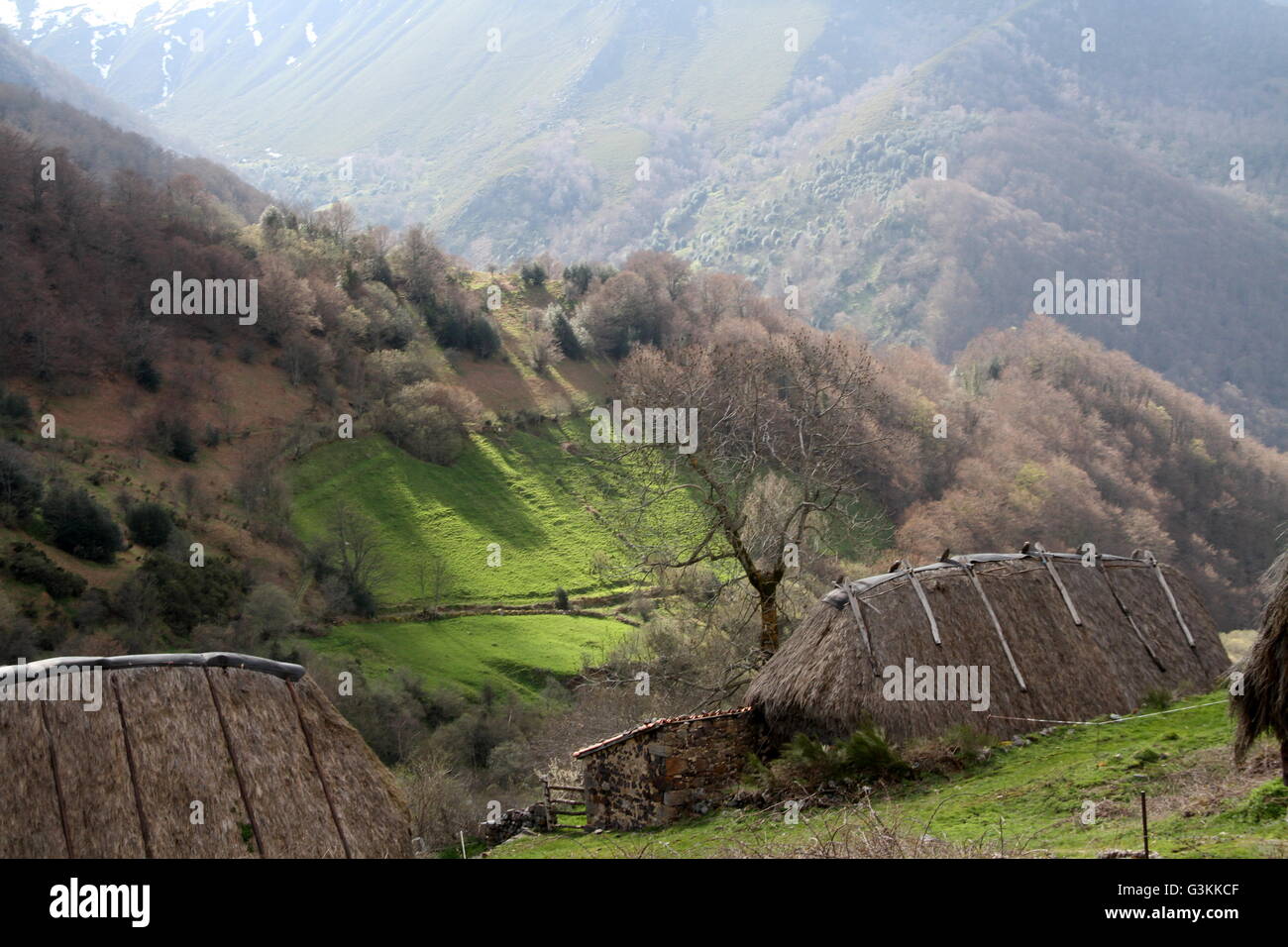 Braña the Pornacal is the largest and best preserved of the brañas of ...