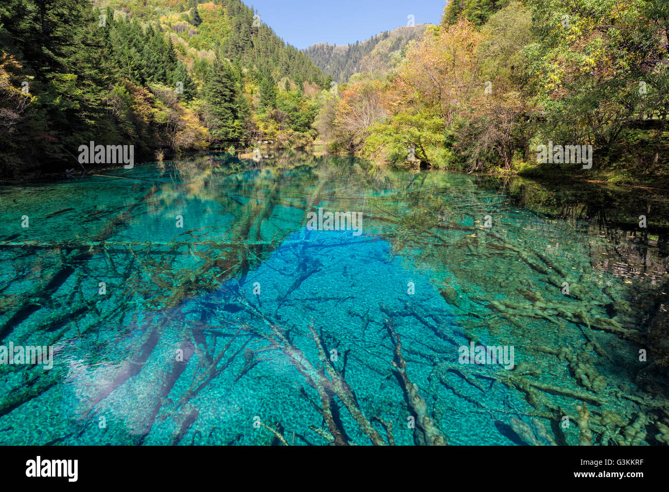 Colorful lake in jiuzhaigou hi-res stock photography and images - Alamy