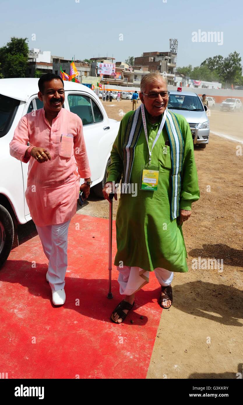 Allahabad, India. 13th June, 2016. BJP senior leader Murali Manohar ...