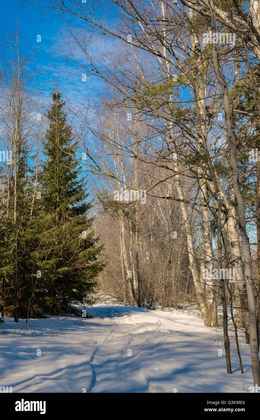 Beautiful spring landscape forest hi-res stock photography and images ...