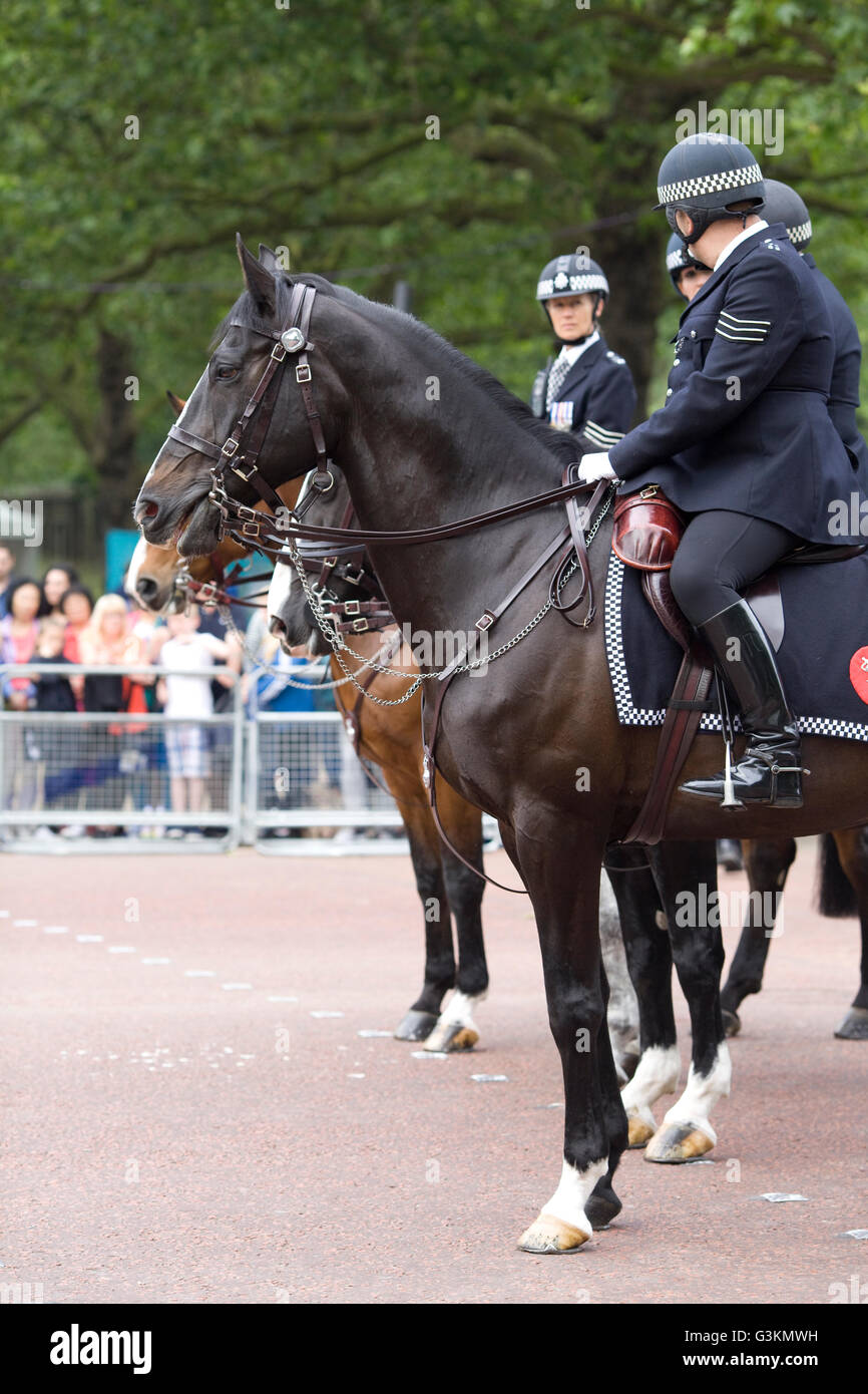 British Mounted Police High Resolution Stock Photography and Images - Alamy