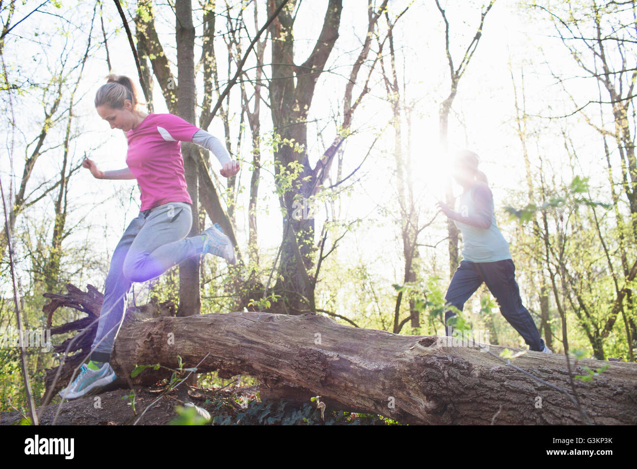 Women in forest jumping over fallen tree Stock Photo - Alamy