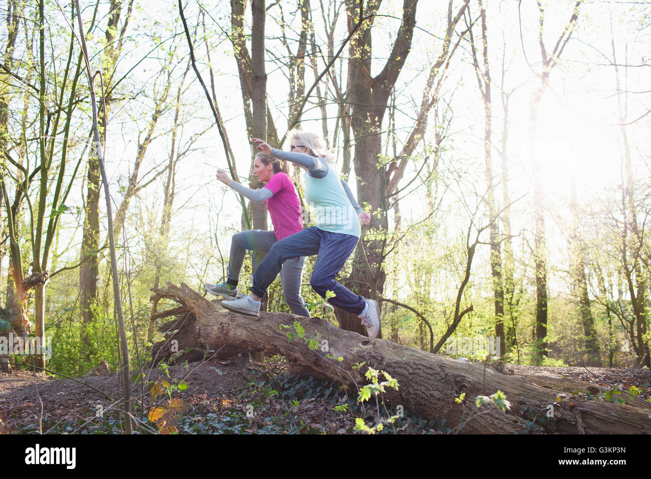 Side view of women in forest jumping over fallen tree Stock Photo - Alamy