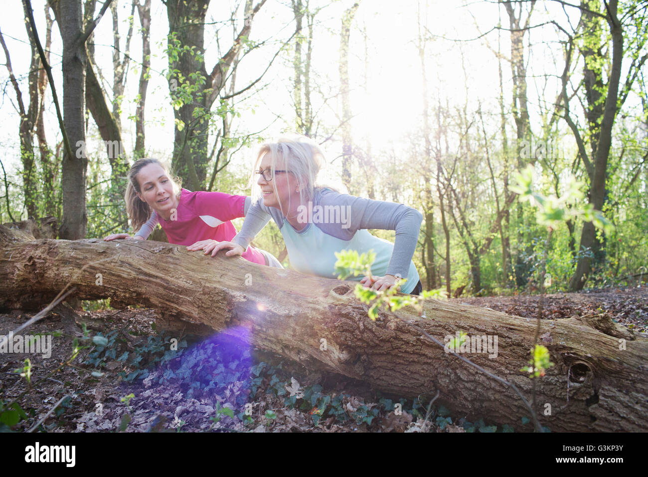 Women in forest doing press ups against fallen tree Stock Photo - Alamy