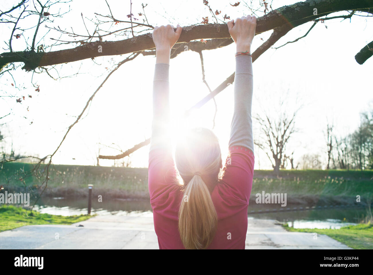 Rear view of woman doing chin ups on tree branch Stock Photo - Alamy