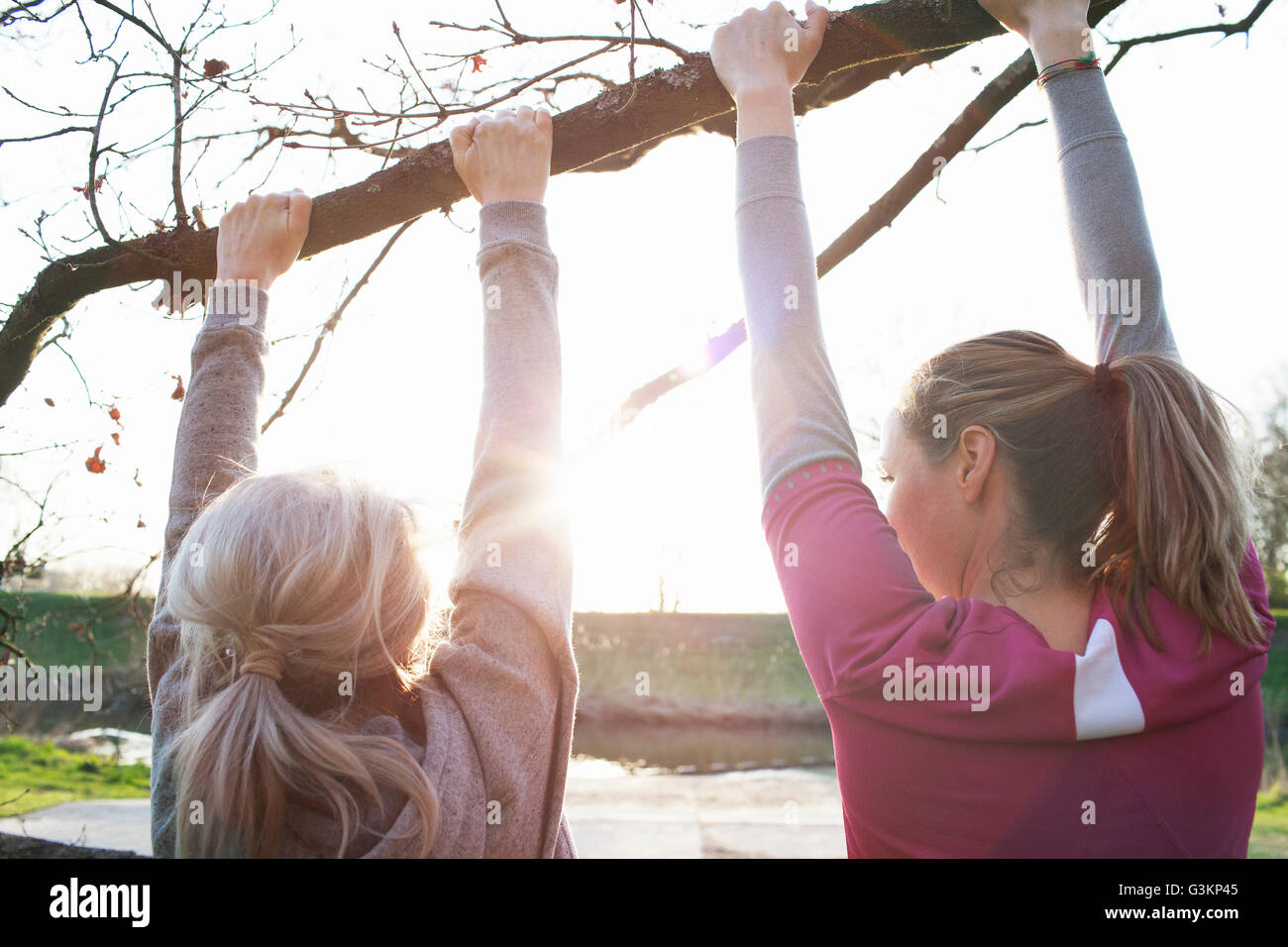 Rear view of women doing chin ups on tree branch Stock Photo - Alamy