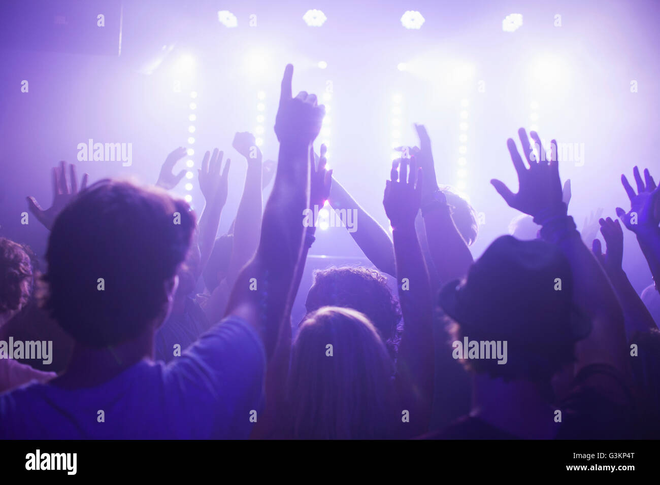 Rear view of group in club arms raised watching concert Stock Photo - Alamy