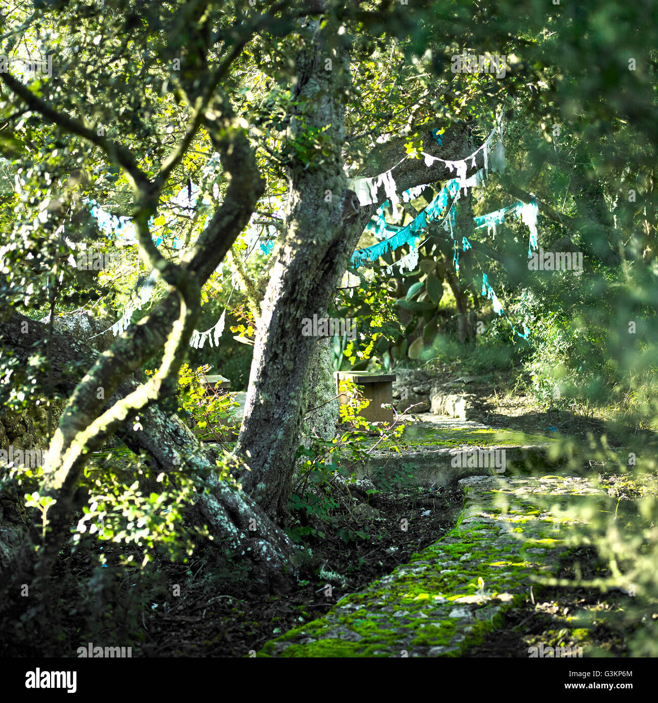 Bunting and trees hi-res stock photography and images - Alamy