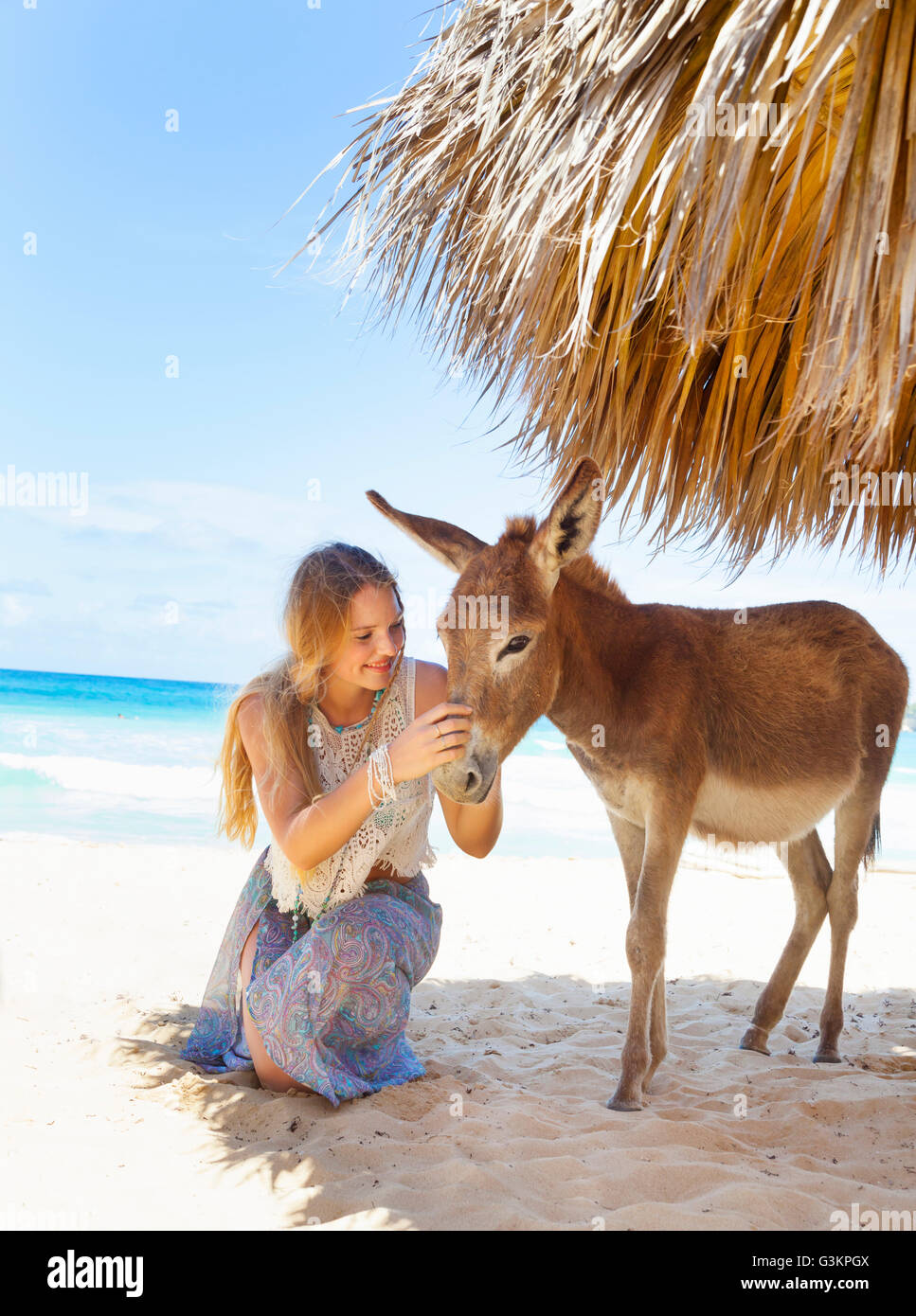 Young woman kneeling to pet donkey on beach, Dominican Republic, The ...