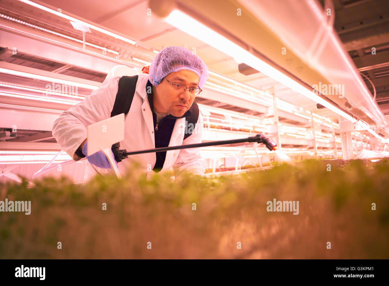 Bending forward hi-res stock photography and images - Alamy