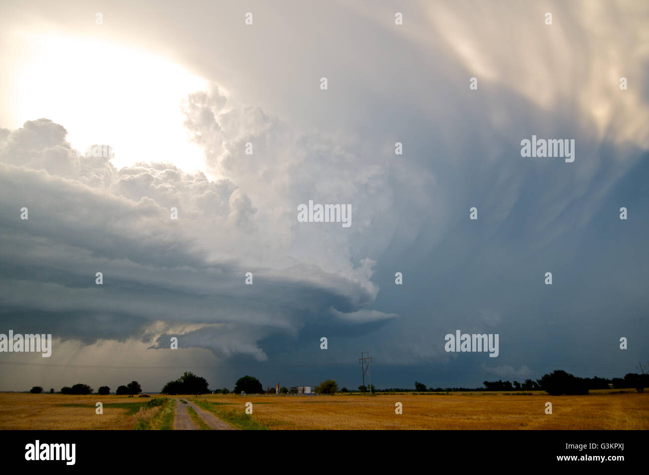 Italian american conflict hi-res stock photography and images - Alamy