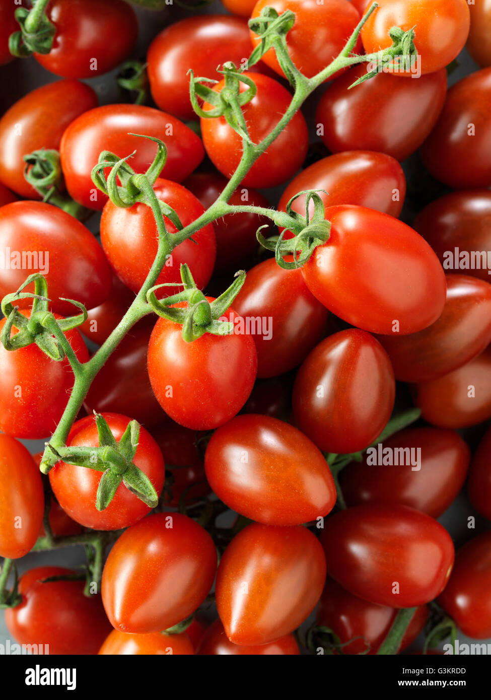 Santini on the vine tomatoes, full frame, close-up Stock Photo - Alamy