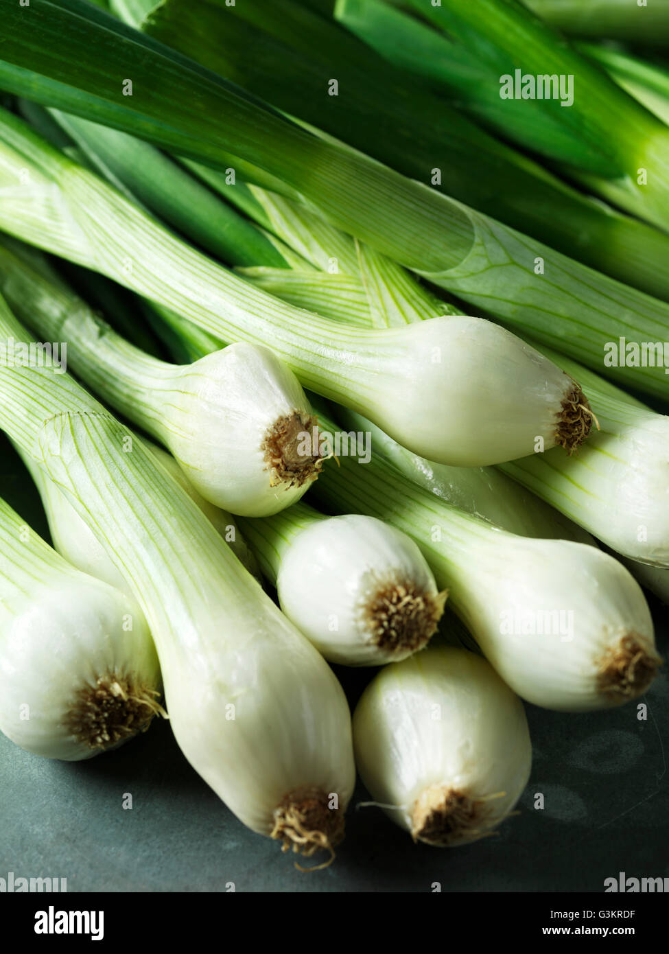 Spring onions, close-up Stock Photo - Alamy